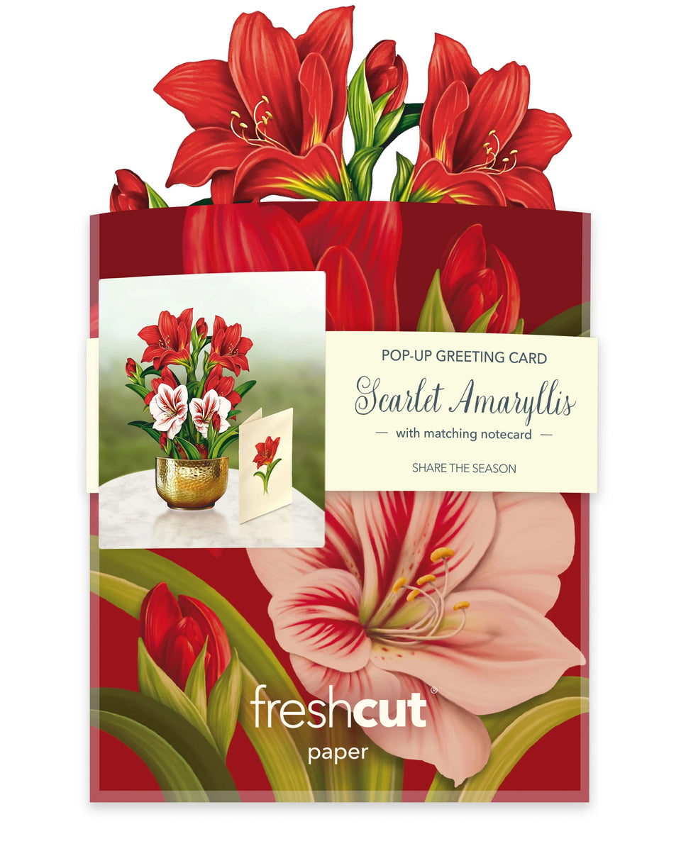 POP-UP MINI AMARYLLIS BOUQUET – The Huntington Store