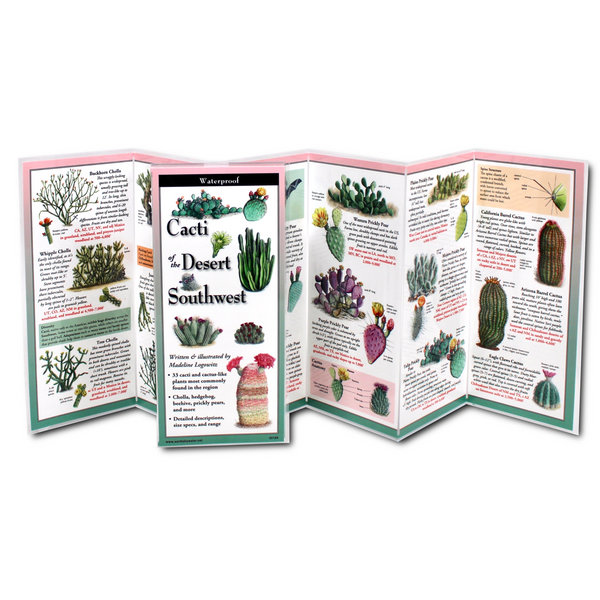 CACTI OF THE DESERT SOUTHWEST - The Huntington Store