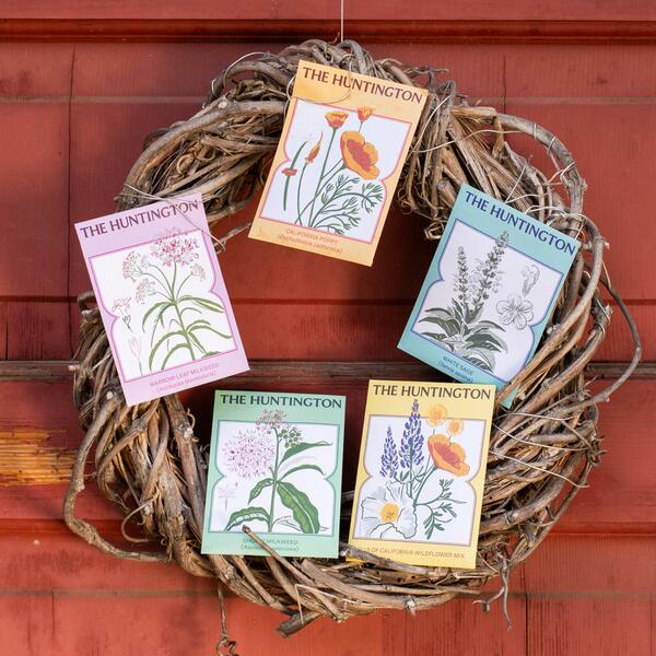 Home - The Huntington Store